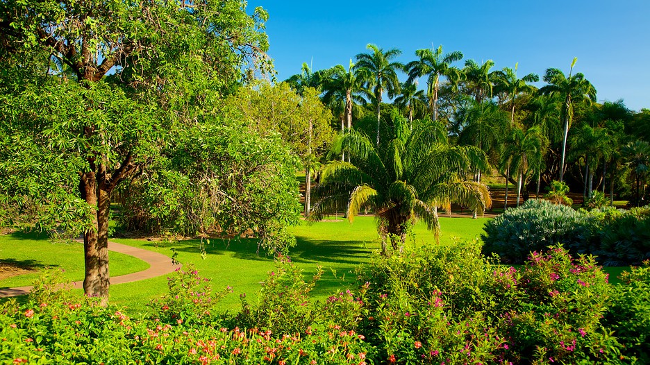 George Brown Darwin Botanic Gardens - Darwin, Northern Territory ...