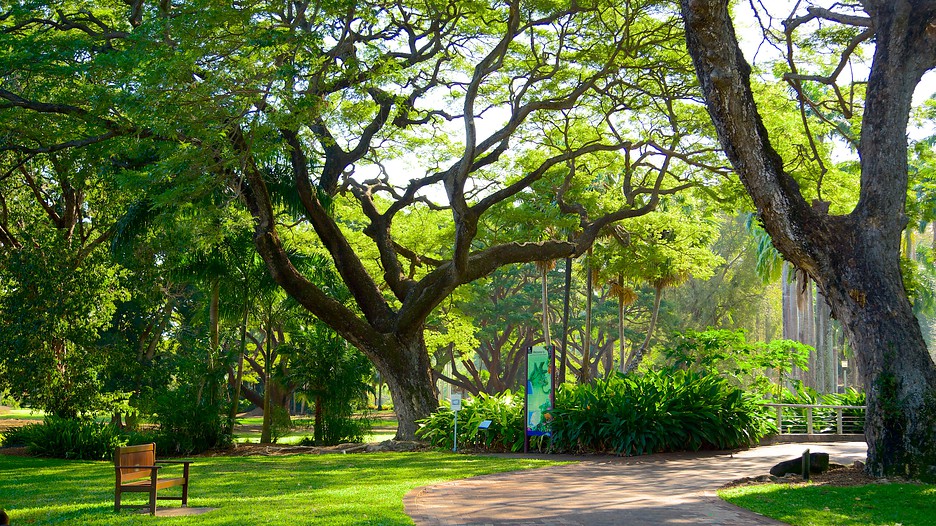 George Brown Darwin Botanic Gardens Darwin Northern Territory