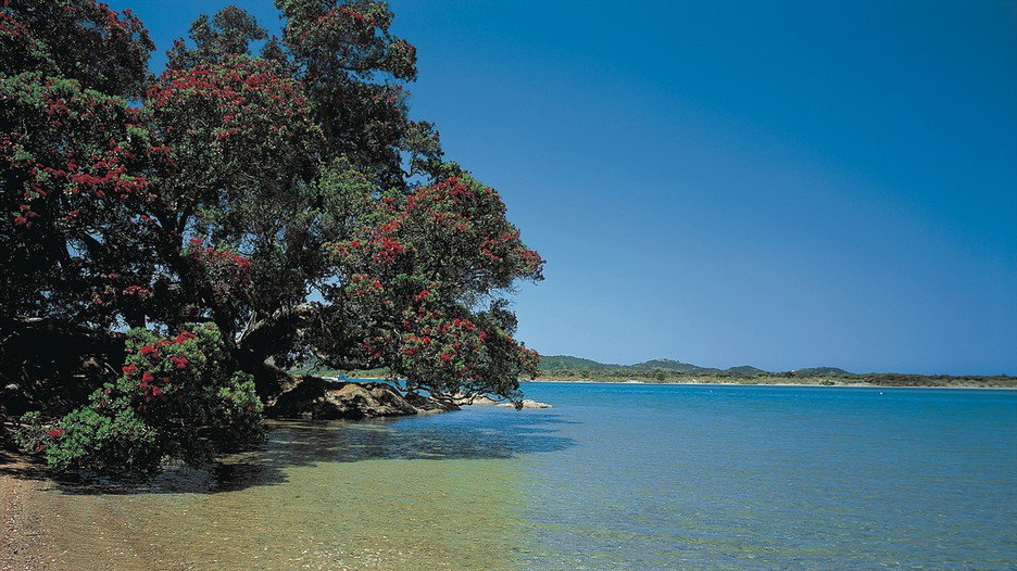 Whangarei Holidays - Book Cheap Holidays to Whangarei and Whangarei ...