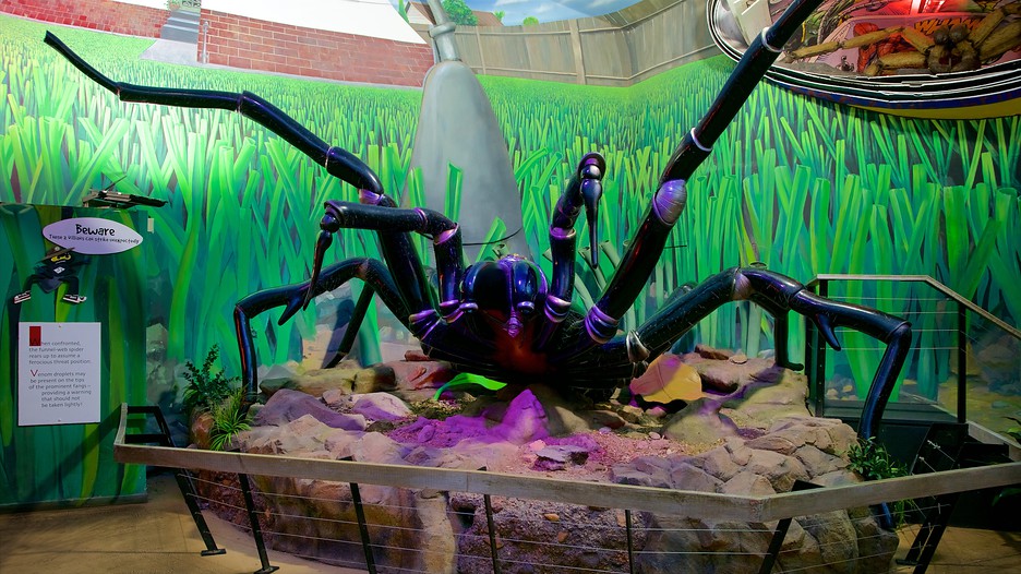 Australian Reptile Park in Point Clare, New South Wales | Expedia