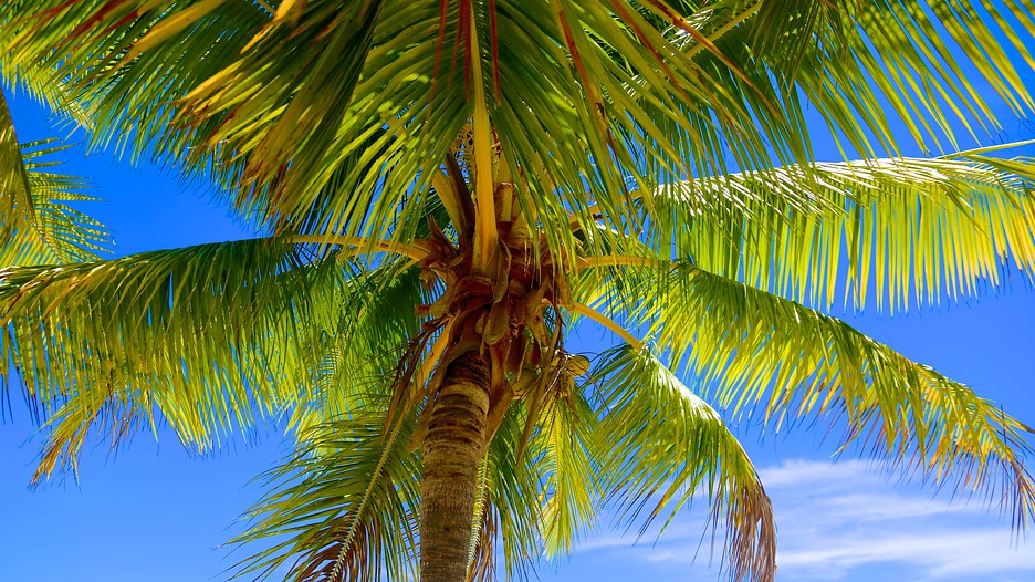 Malolo Lailai Island Vacations 2017: Package & Save up to $603 | Expedia