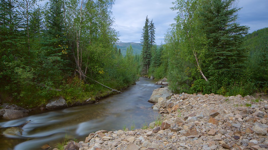 Chena Hot Springs in Fairbanks, Alaska | Expedia
