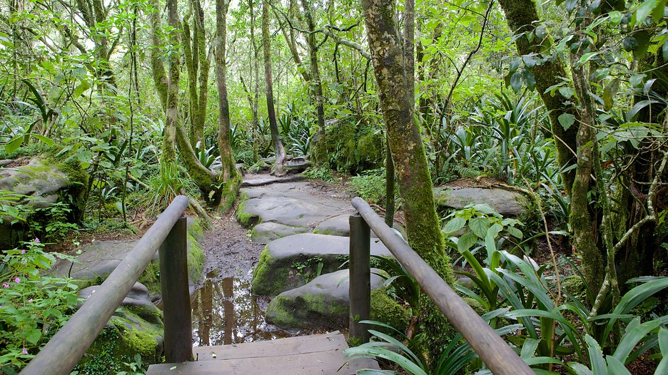 God's Window in Graskop, Mpumalanga | Expedia