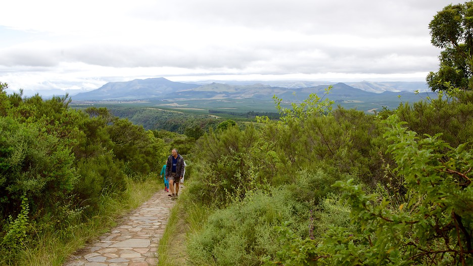 God's Window in Graskop, Mpumalanga | Expedia
