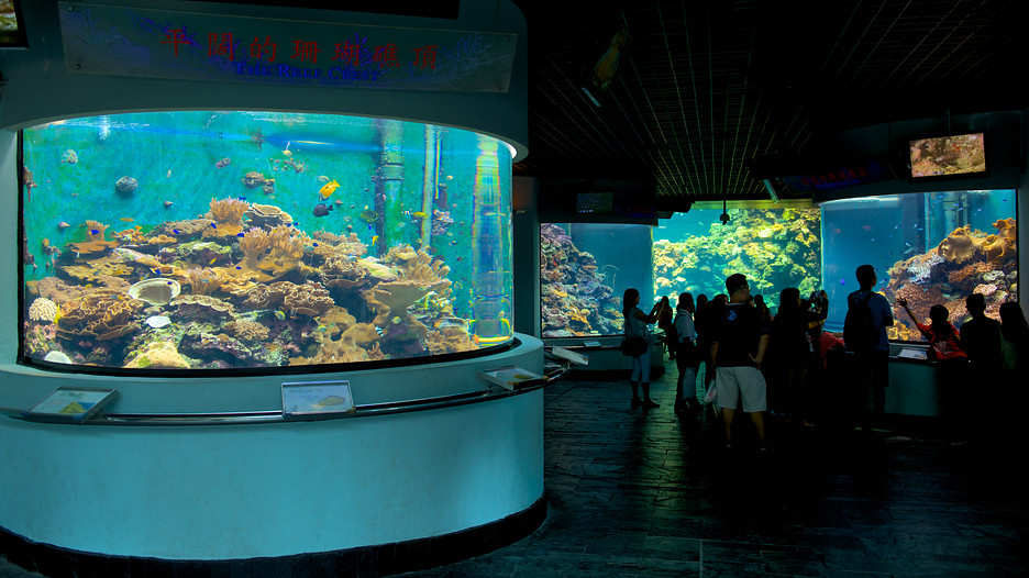 National Museum of Marine Biology and Aquarium in Checheng, | Expedia