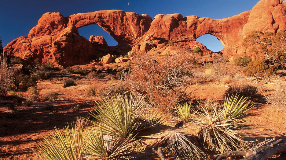 Moab Vacations 2017: Package & Save up to $603 | Expedia