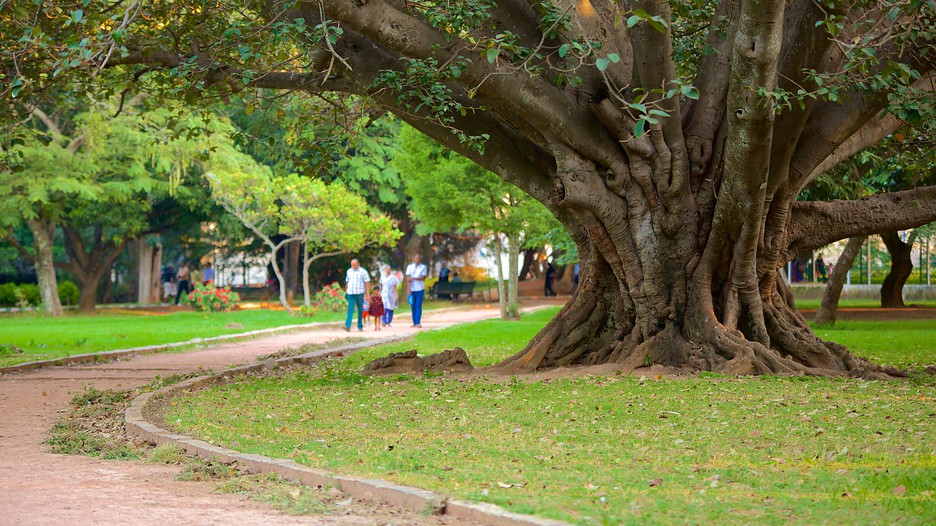 Lalbagh Botanical Gardens in Bengaluru, | Expedia