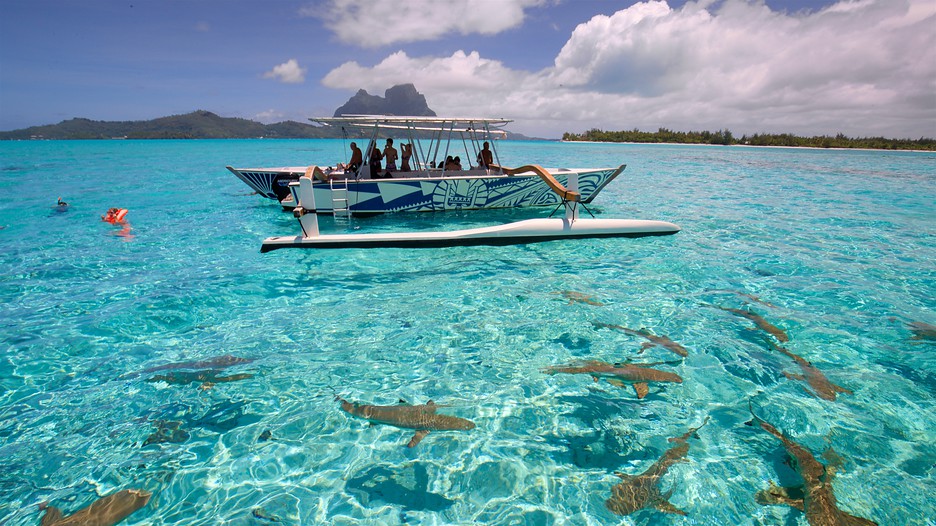 French Polynesia Vacations 2017: Explore Cheap Vacation Packages | Expedia