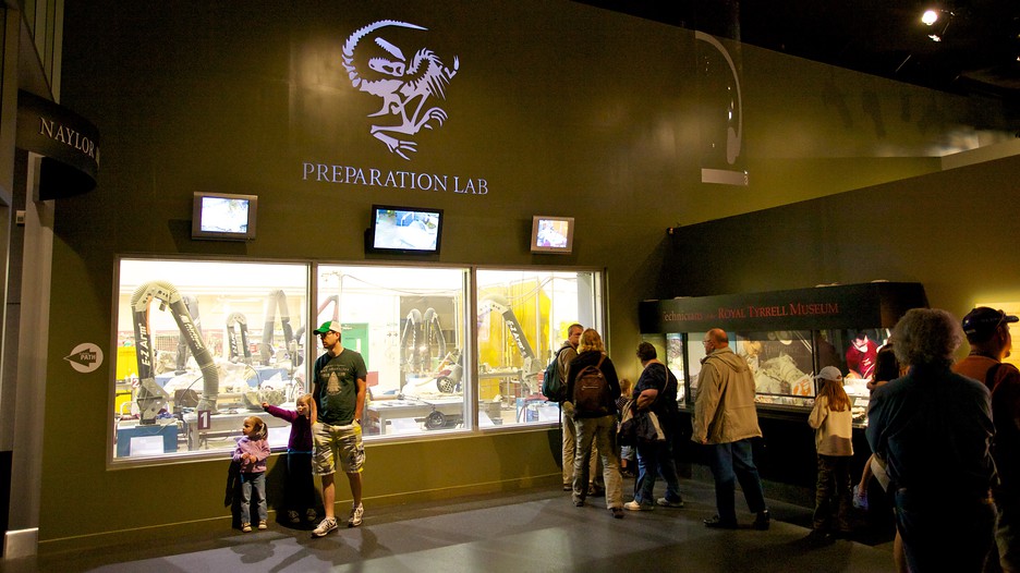 Royal Tyrrell Museum in Calgary, Alberta | Expedia.ca