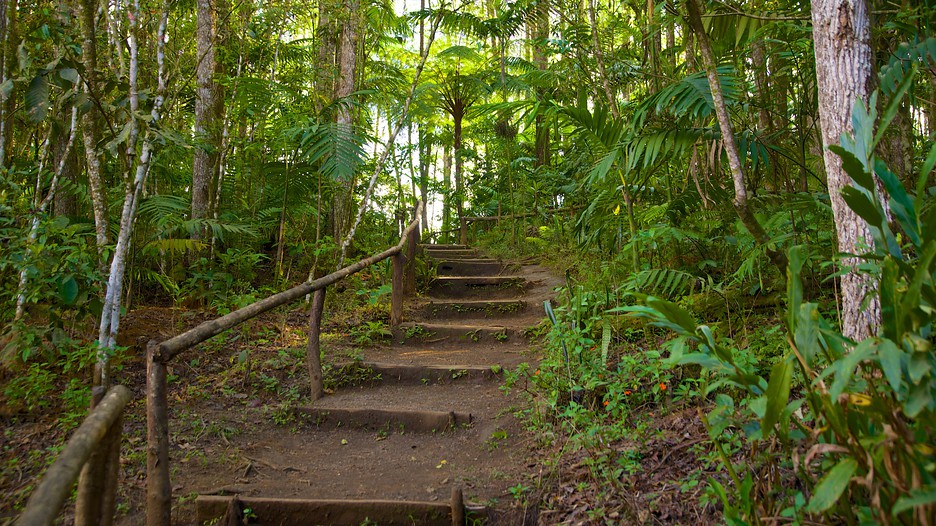 Las Victorias National Park in Coban, | Expedia