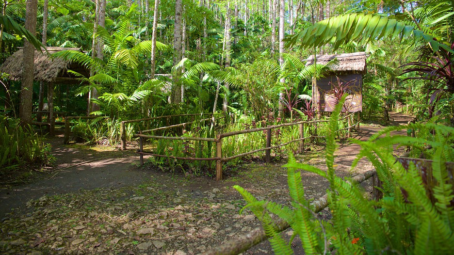 Las Victorias National Park in Coban, | Expedia