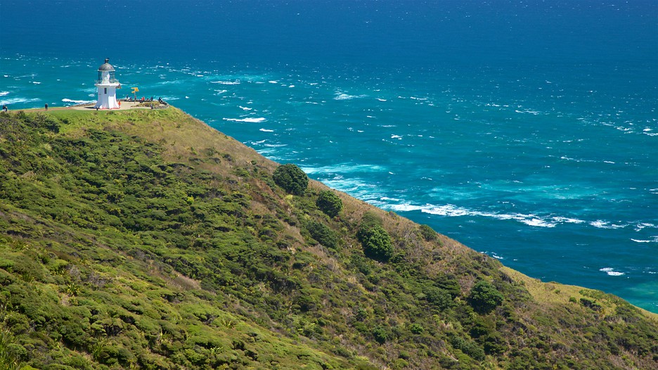 Cape Reinga Lighthouse in Kaitaia, | Expedia