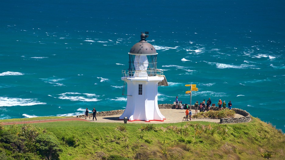 Cape Reinga Lighthouse in Kaitaia, | Expedia