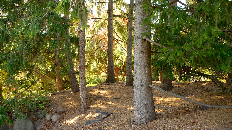 Minnesota Landscape Arboretum in Chanhassen, Minnesota | Expedia.ca