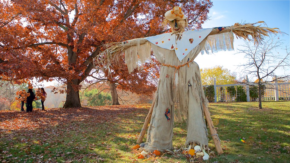 Minnesota Landscape Arboretum in Chanhassen, Minnesota | Expedia.ca