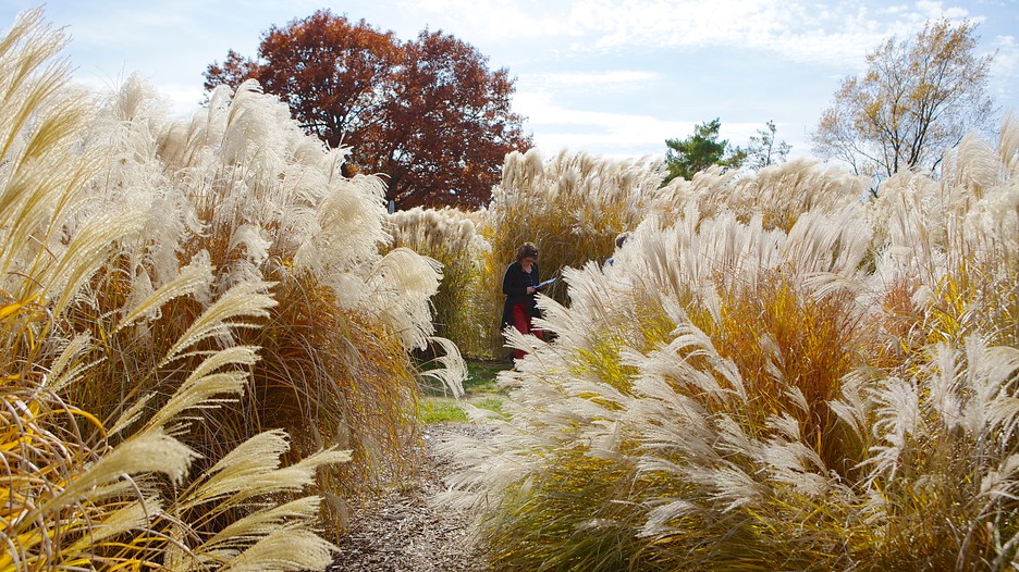 Minnesota Landscape Arboretum in Chanhassen, Minnesota | Expedia.ca