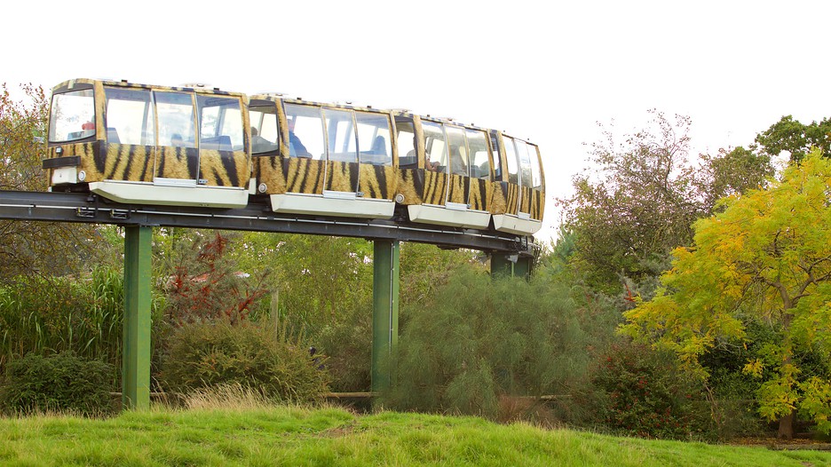 Chester Zoo in Chester, England | Expedia