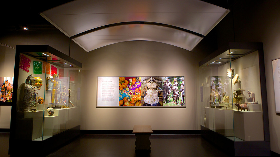 Buffalo Museum of Science in Buffalo, New York | Expedia