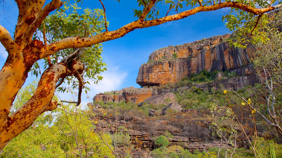 Nourlangie Rock in Jabiru, Northern Territory | Expedia