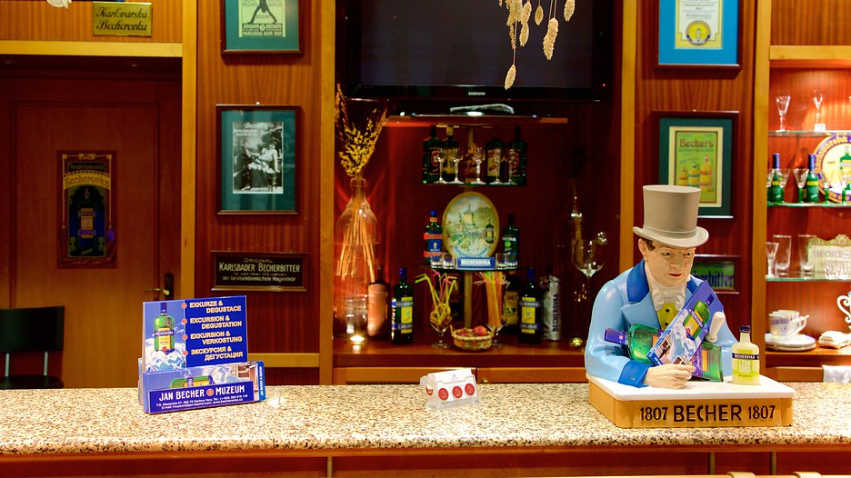 Jan Becher Museum in Karlovy Vary, | Expedia