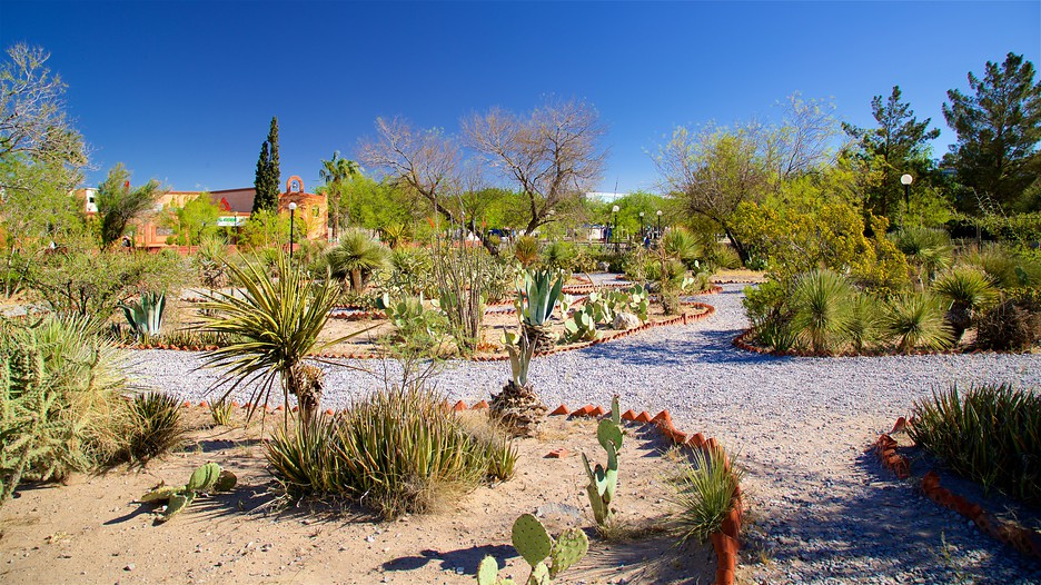 Ciudad Juarez Vacations 2017: Package & Save up to $603 | Expedia