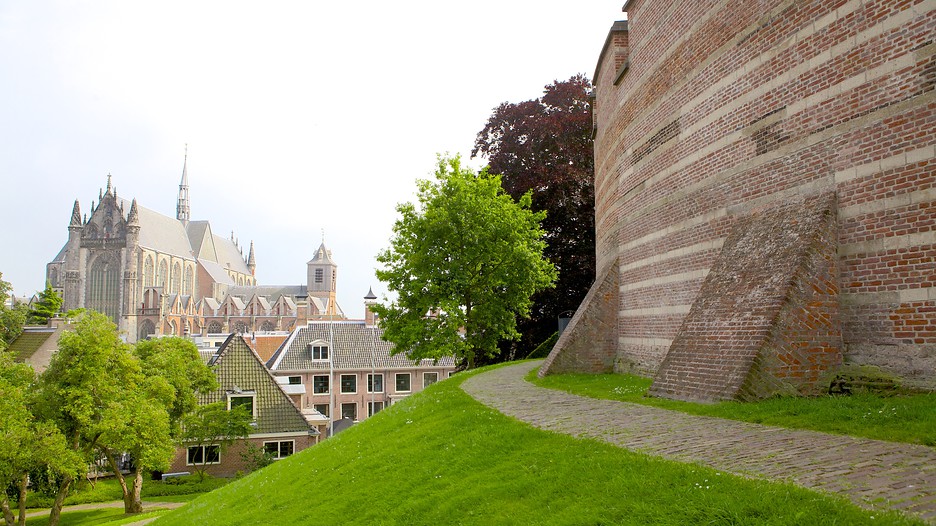 Burcht in Leiden, | Expedia