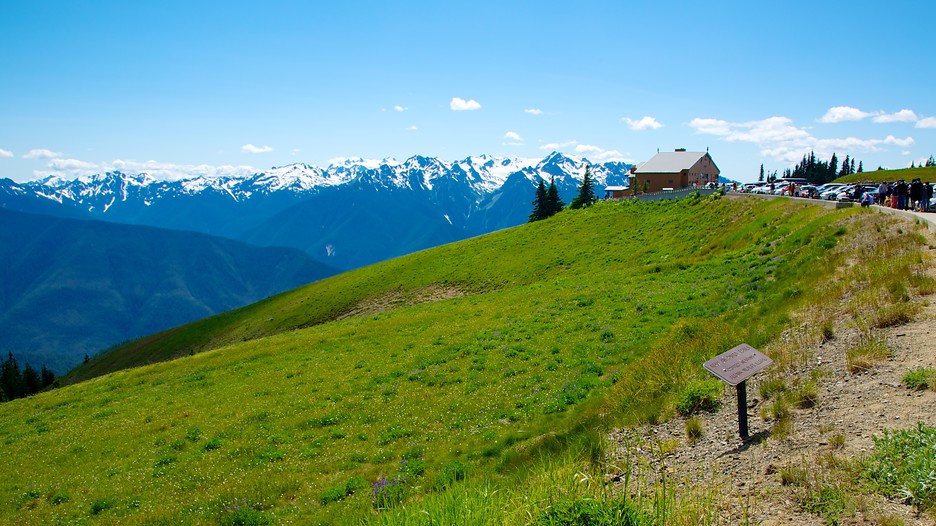 Hurricane Ridge Visitors Center in Port Angeles, Washington | Expedia