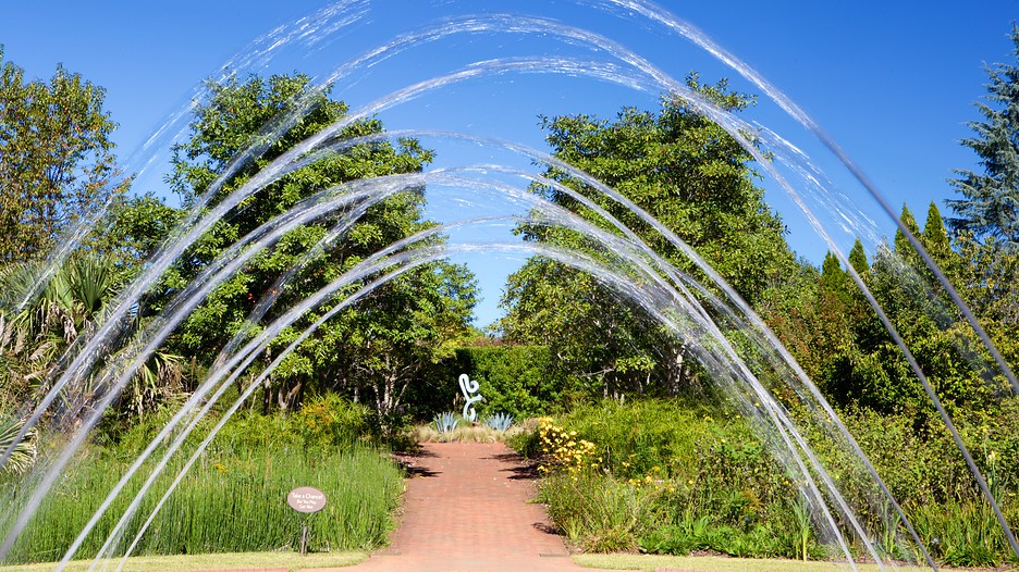 Daniel Stowe Botanical Garden in Charlotte, North Carolina | Expedia