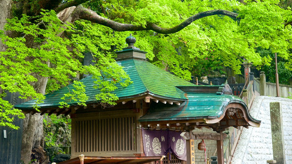 Naritasan Shinshoji Temple in Narita, | Expedia