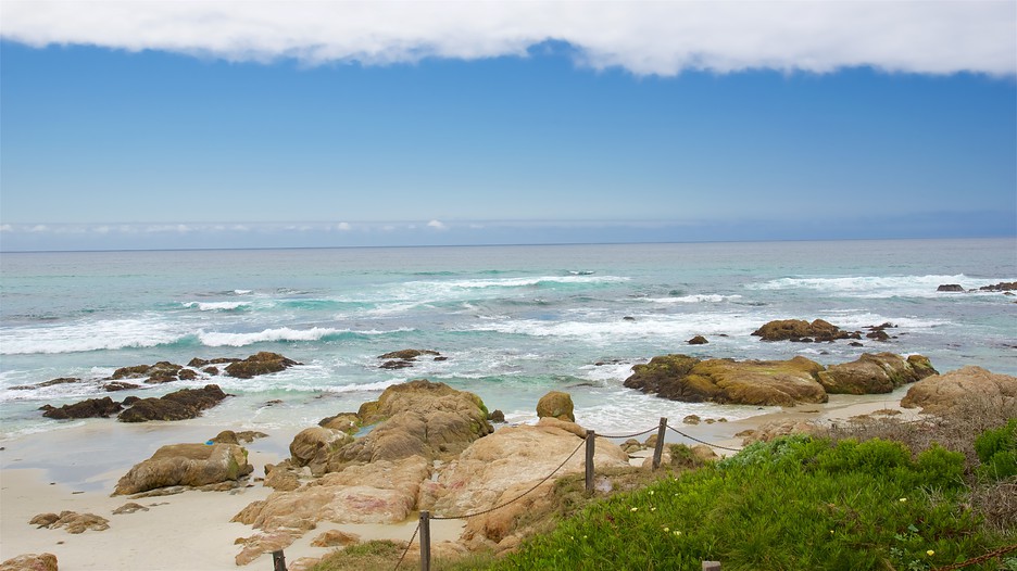 Asilomar State Beach in Pacific Grove, California | Expedia