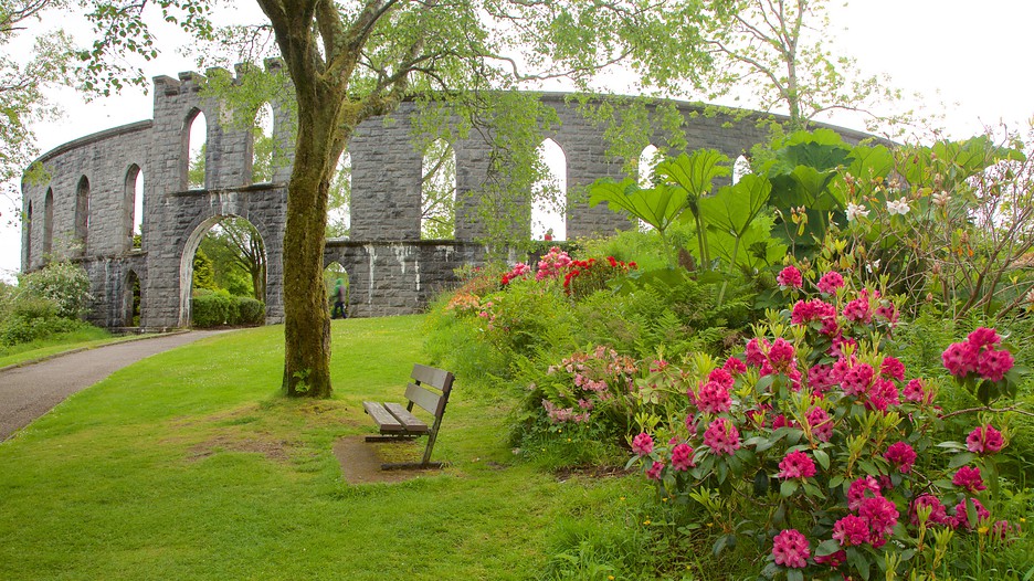 McCaig's Tower in Oban, Scotland | Expedia