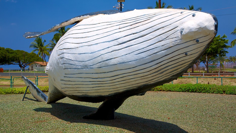 Kihei Vacations 2017: Package & Save up to $603 | Expedia