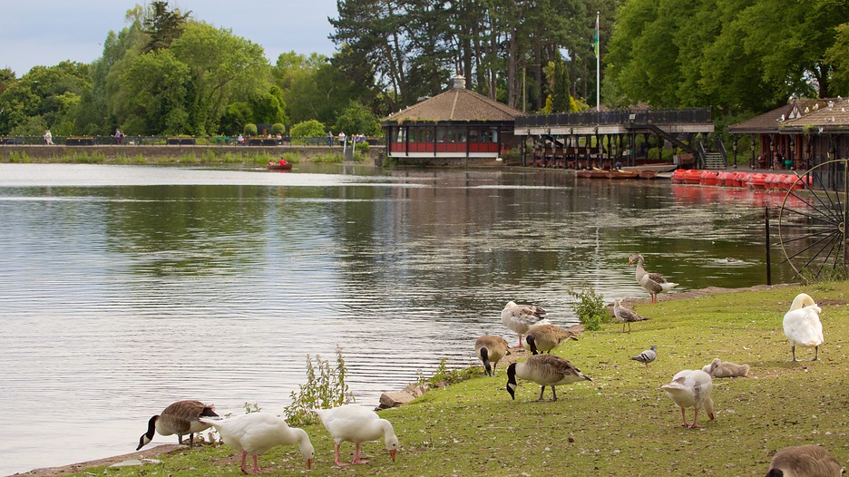 Roath Park in Cardiff, Wales | Expedia.ca