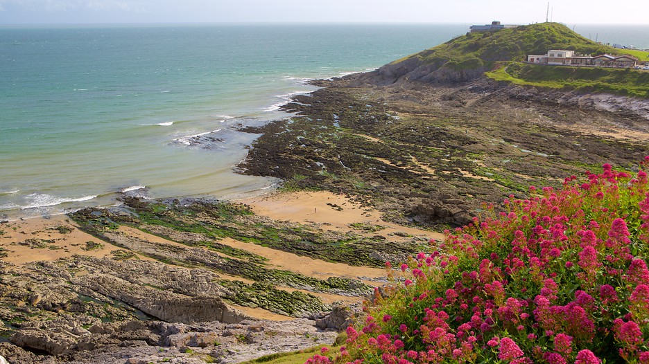 Bracelet Bay Beach in Swansea, Wales | Expedia