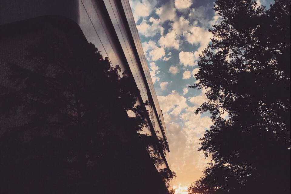Um pôr do sol com nuvens e árvores.