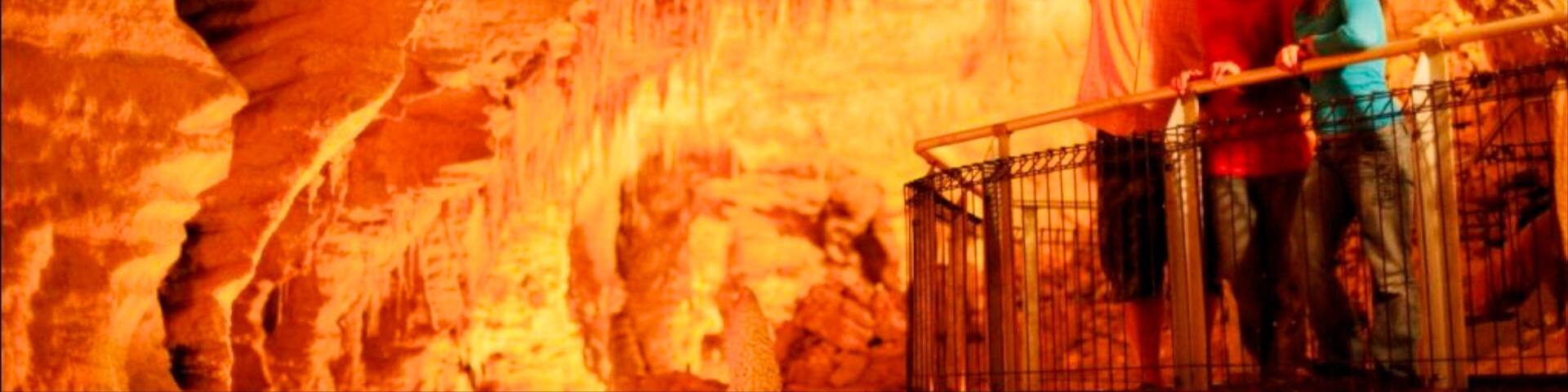 Cavernas de Waitomo que inclui cavernas e vistas internas assim como uma família