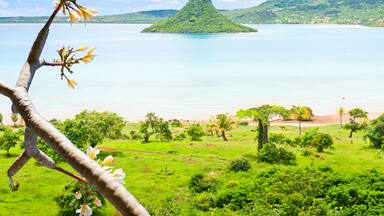 Paisagem verde exuberante com uma grande massa d'água, uma pequena ilha com uma colina imponente, e um galho de árvore com flores em primeiro plano.