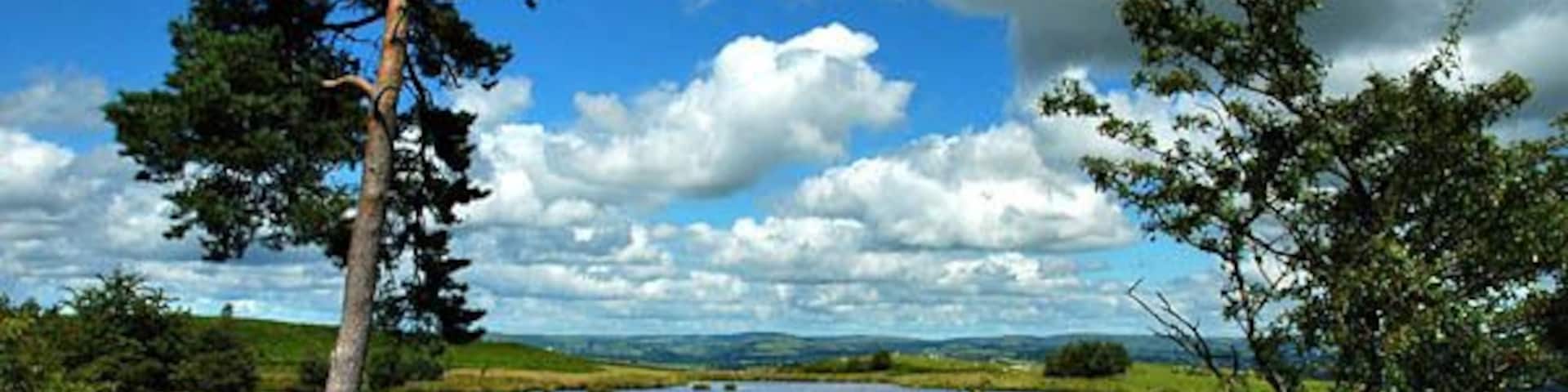 The pool on the ridge This attractive little pool lies just to the north of the quiet ridge path between Pawl-hir and Llandrindod Wells