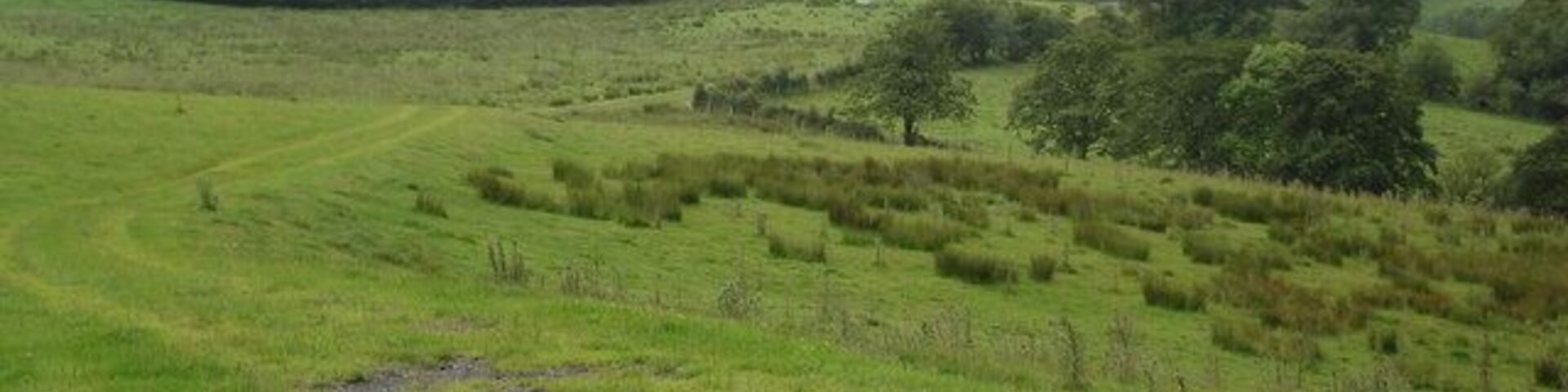 Um campo verde com cerca, árvores e colinas onduladas ao longe.