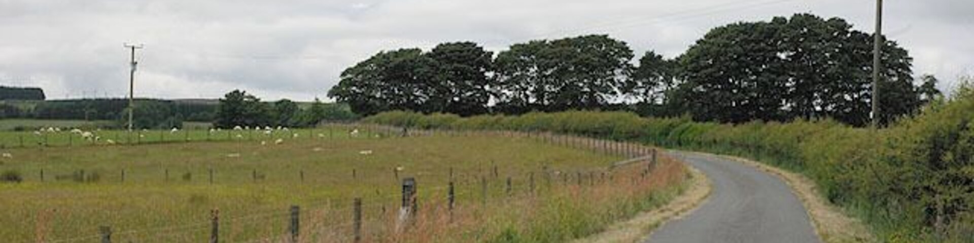 Uma estrada rural serpenteia por um campo, com uma cerca de um lado e árvores ao longe.