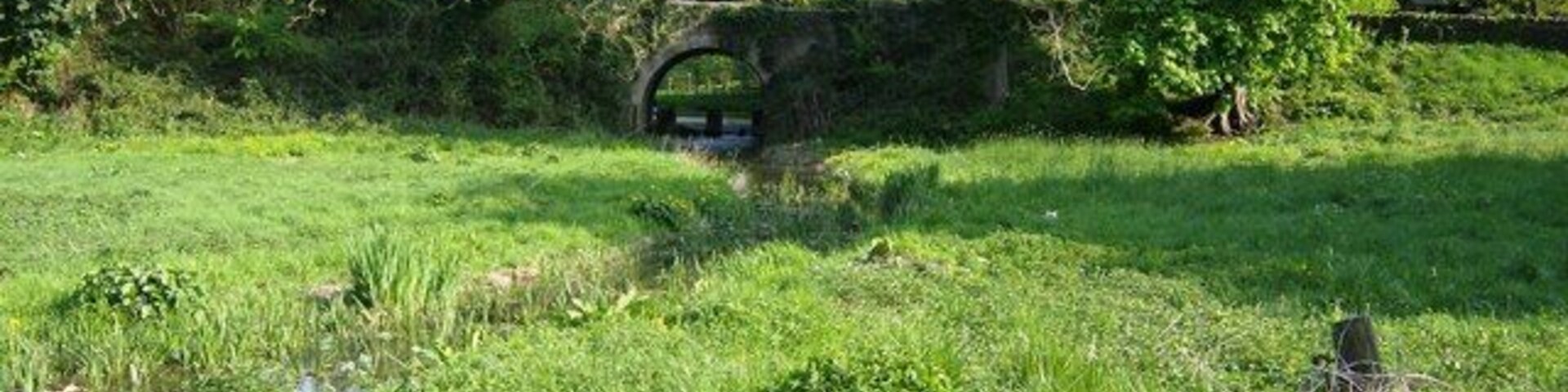 Paisagem rural com uma ponte de pedra, vegetação exuberante e um pequeno riacho.