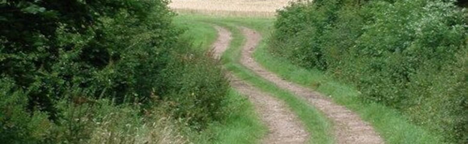 Farnton Hill, Long Riston, East Riding of Yorkshire, England. Looking west-northwest along the public footpath on the parish boundary between Rise and Riston. There has been a training course for race horses here since the 19th century and the first circular track around Farnton Hill may have been created by William Bethell of Rise, whose horse won the St. Leger in 1780. There is a 'no entry' sign on every track leading onto the hill, the highest point of which is only 23 metres above sea level. A track of sand mixed with wool runs alongside the footpath to Long Riston village.