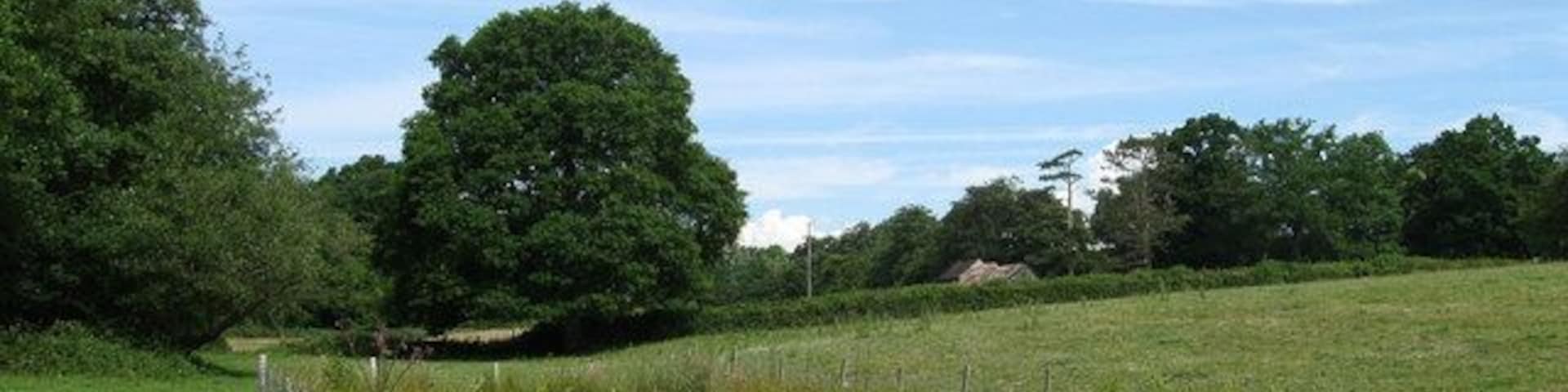 Marshy Ground near White Coppice Farm Just beyond a junction of footpaths next to High Hurstwood Stream. Some of the farm buildings can be seen to the right.