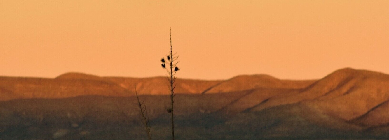 Paisagem com uma lua proeminente no céu, vegetação em primeiro plano e colinas ondulantes ao longe.