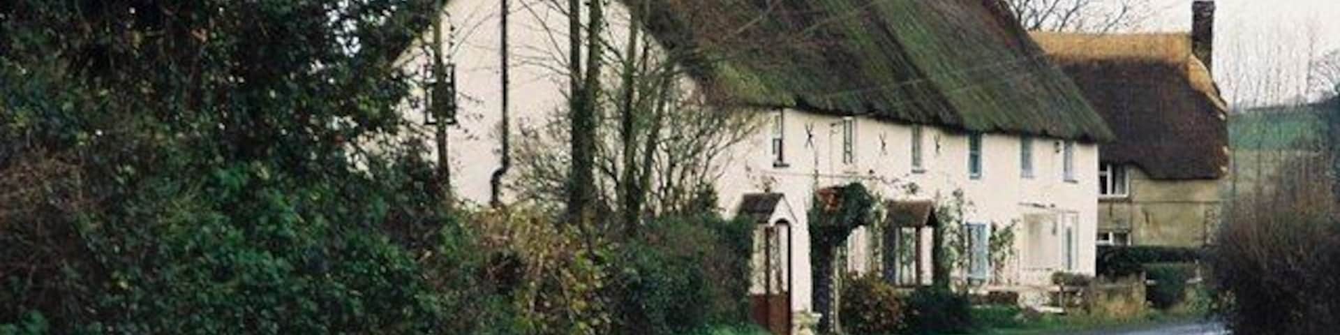 Winterborne Whitechurch: Lower Street