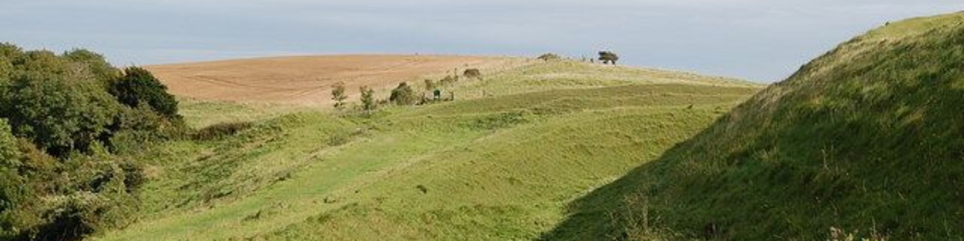 Hambledon Hill, Dorset