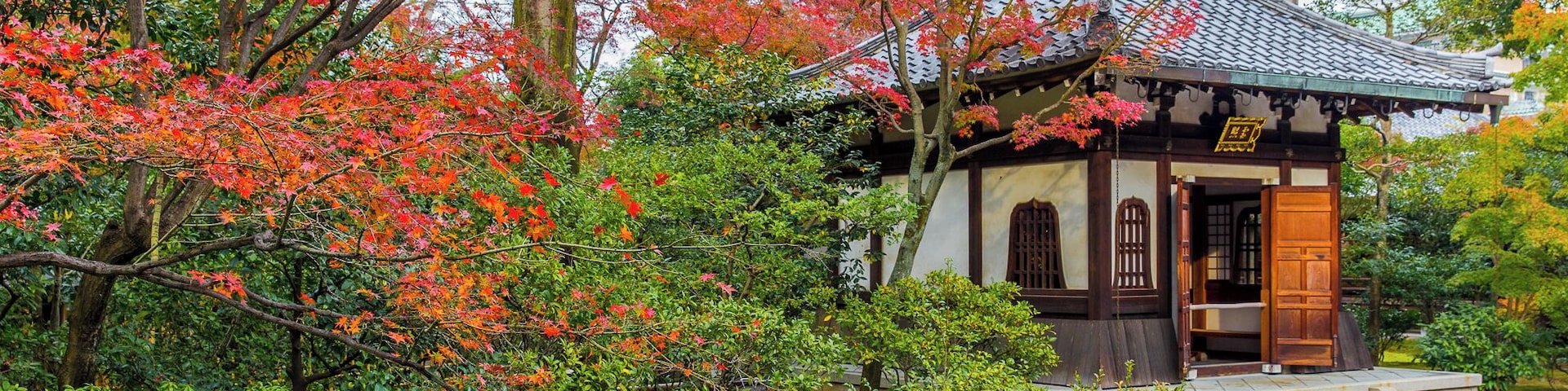 Um edifício japonês tradicional rodeado por folhagem outonal.