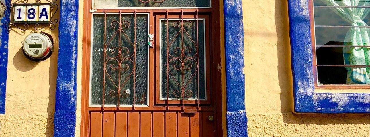 Street dogs and beauty everywhere