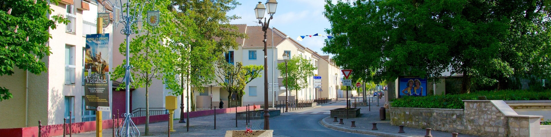 Rua de paralelepípedos com edifícios, árvores e um carrossel.