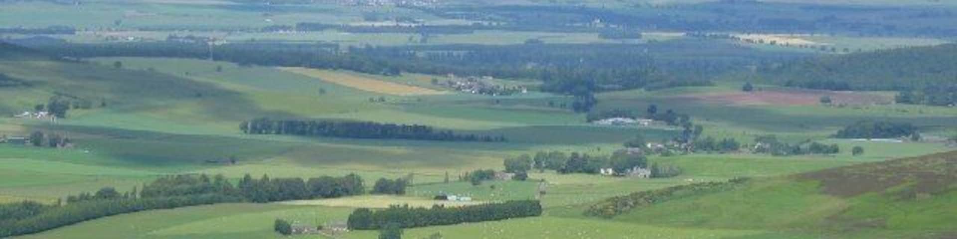 Strathmore from Craigowl Hill. The road to the masts winds around the north of the hill giving this view across Strathmore towards the Highlands.